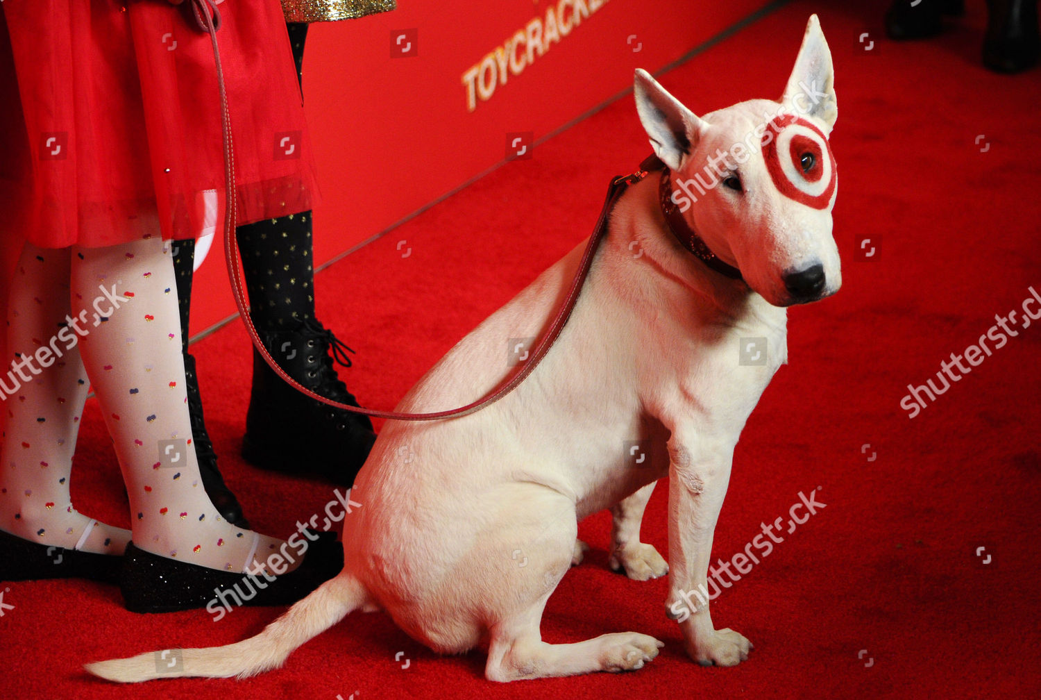 Bullseye Target Dog Editorial Stock Photo - Stock Image | Shutterstock