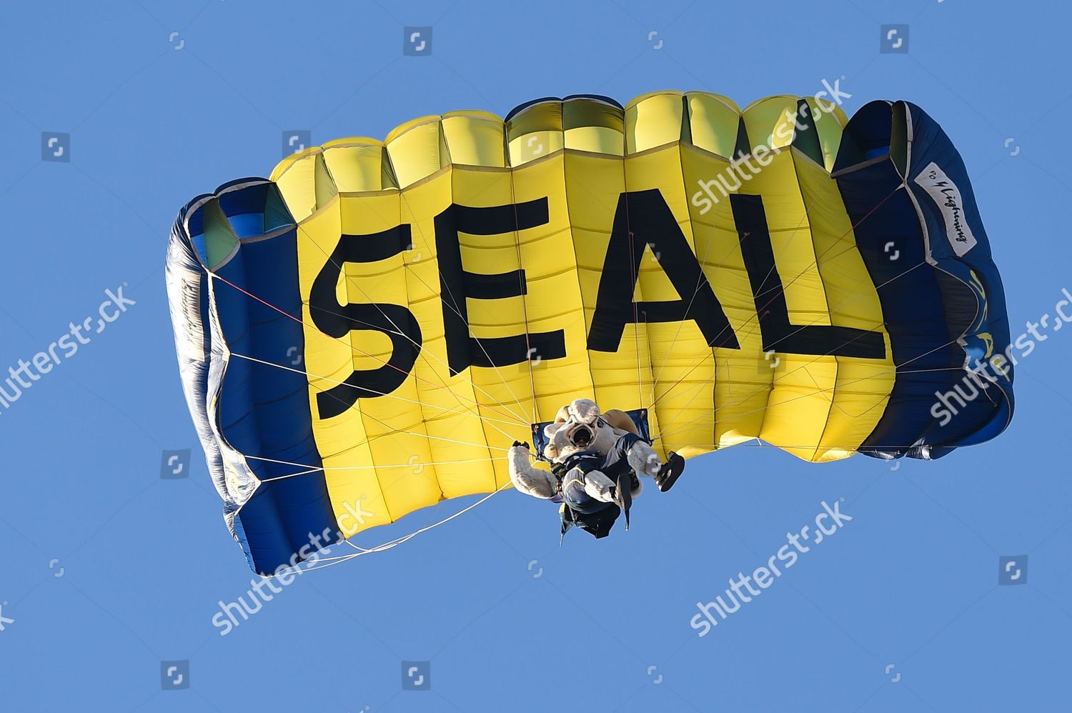 Navy Seal Parachute Team Leap Frogs Editorial Stock Photo - Stock Image ...