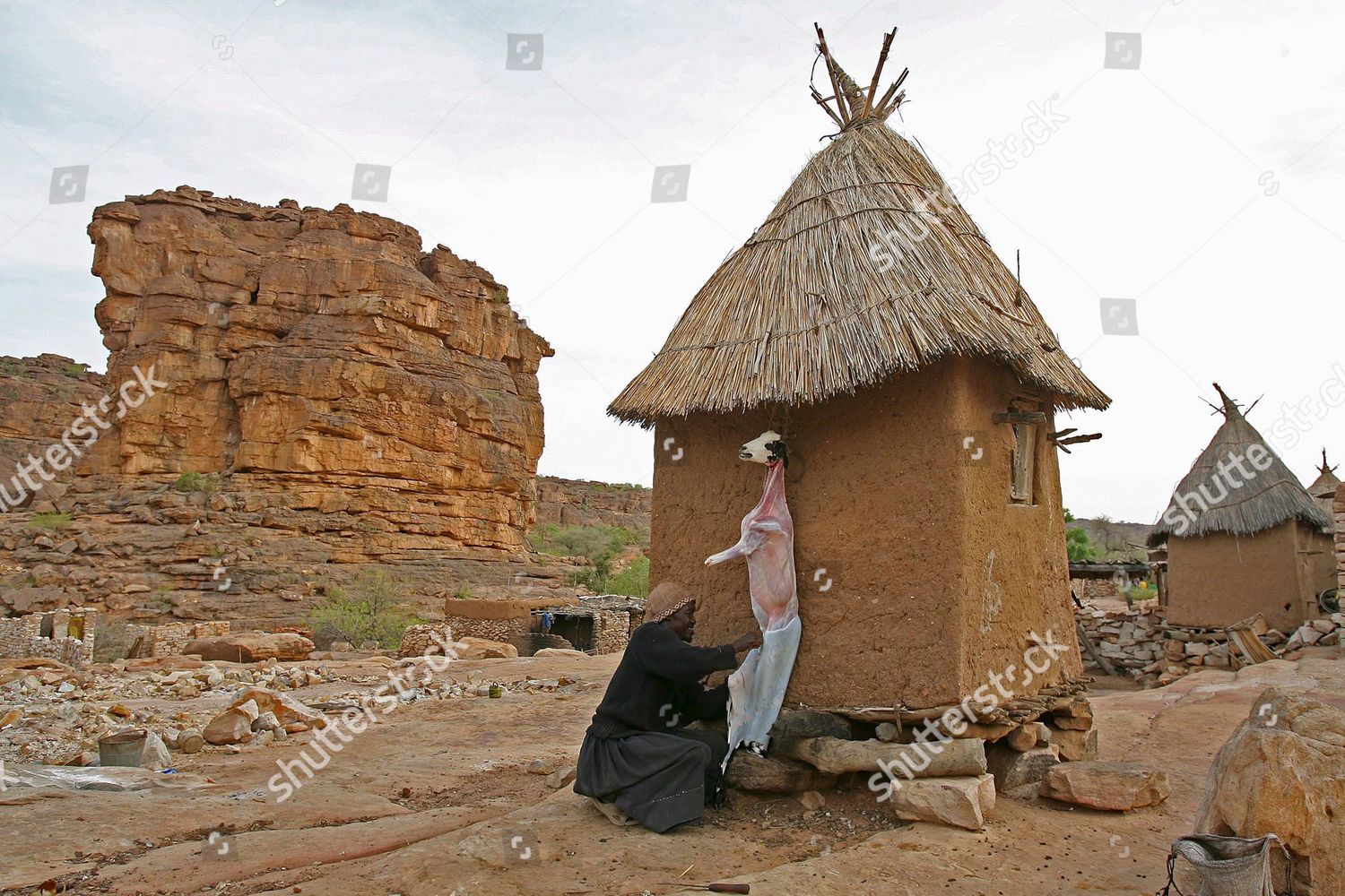 Dogon Hunter Skins Goat Village Begnemato Editorial Stock Photo - Stock ...