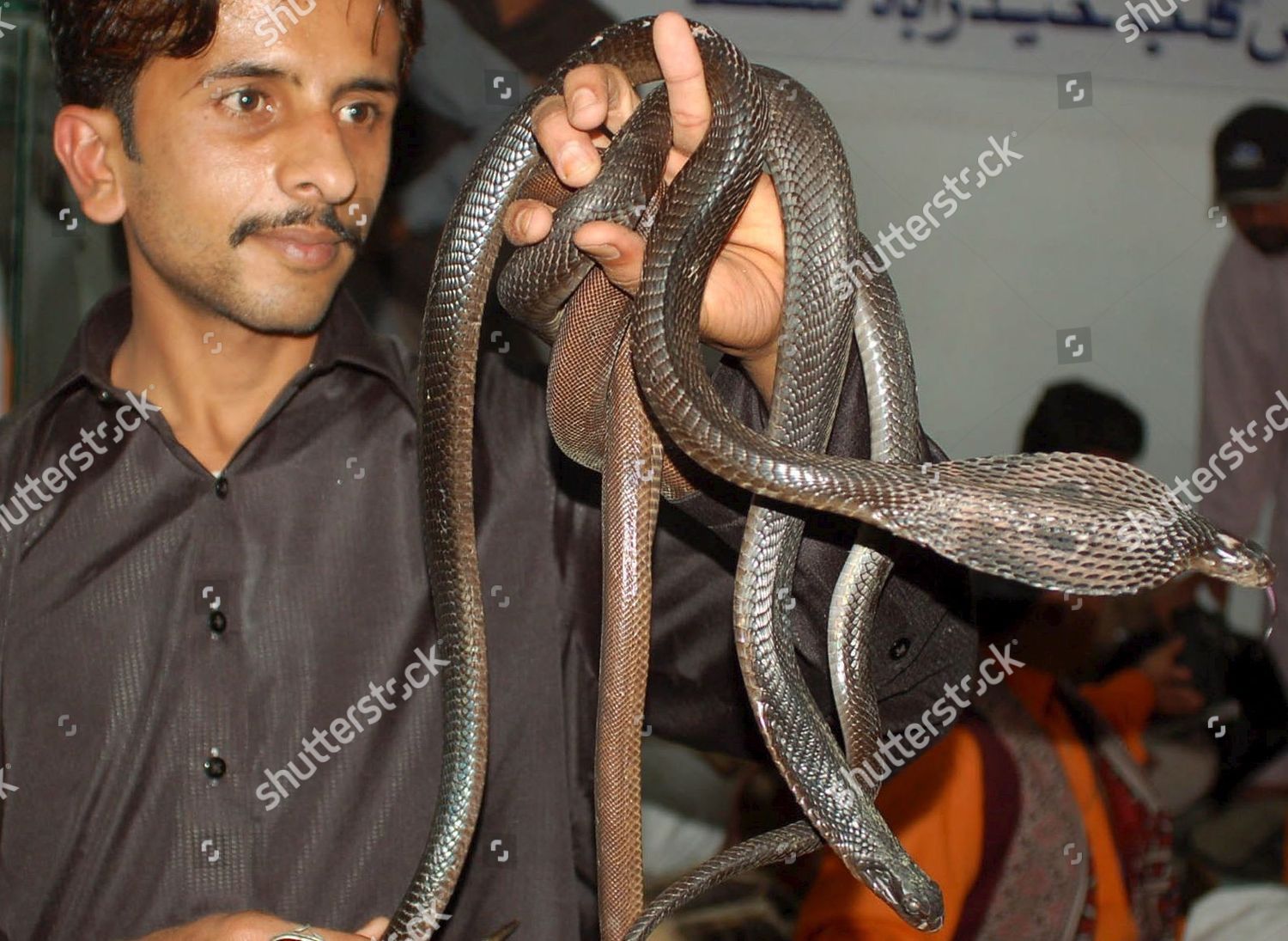 Pakistani Snake Charmer Displays His Skills Editorial Stock Photo ...