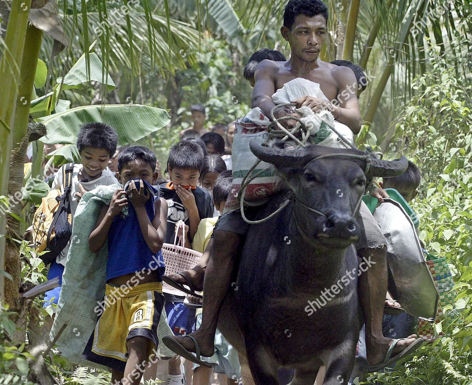 Filipino Rides On Carabao His Belongings Editorial Stock Photo - Stock ...