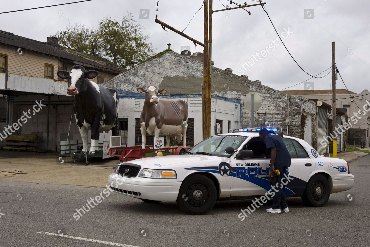 Police Officer On Patrol Stops Front Editorial Stock Photo - Stock ...