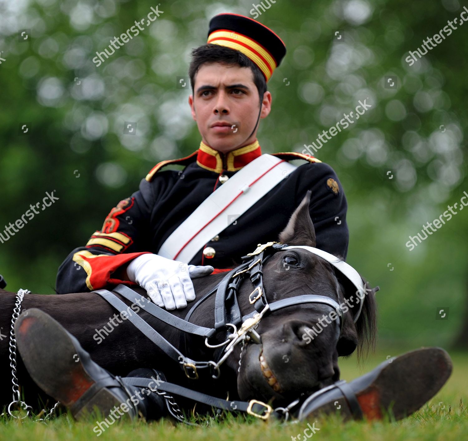Corporal Daniel Evans Sits Beatrice During Editorial Stock Photo ...