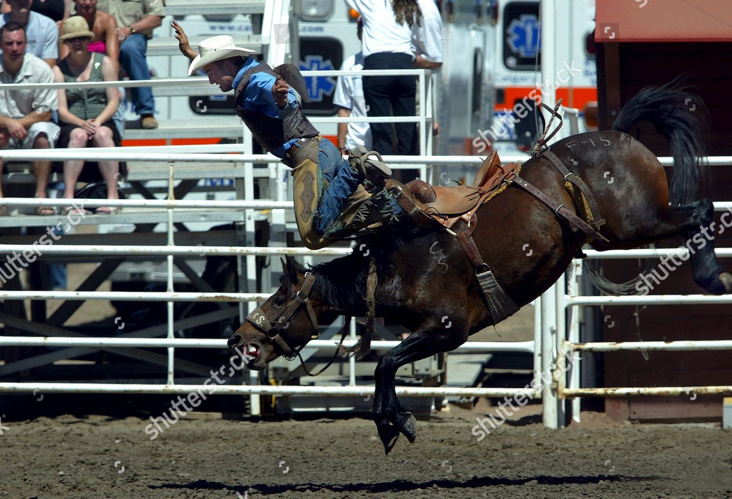 Cowboy Tyler Koldyk Niton Junction Alberta Editorial Stock Photo ...