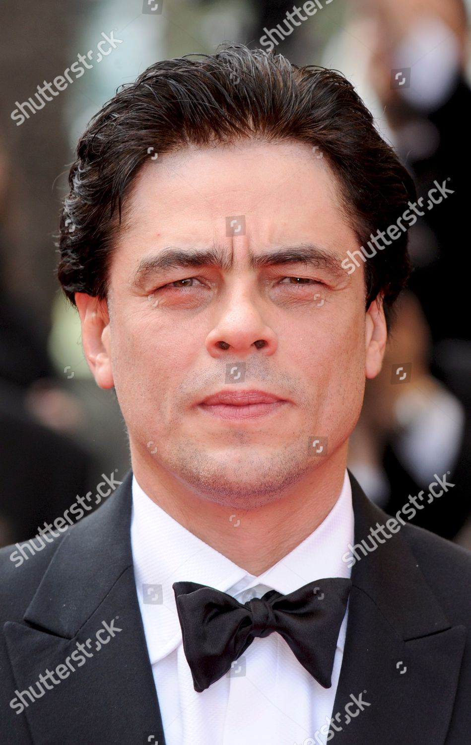 Puerto Rican Actor Benicio Del Toro Editorial Stock Photo - Stock Image ...