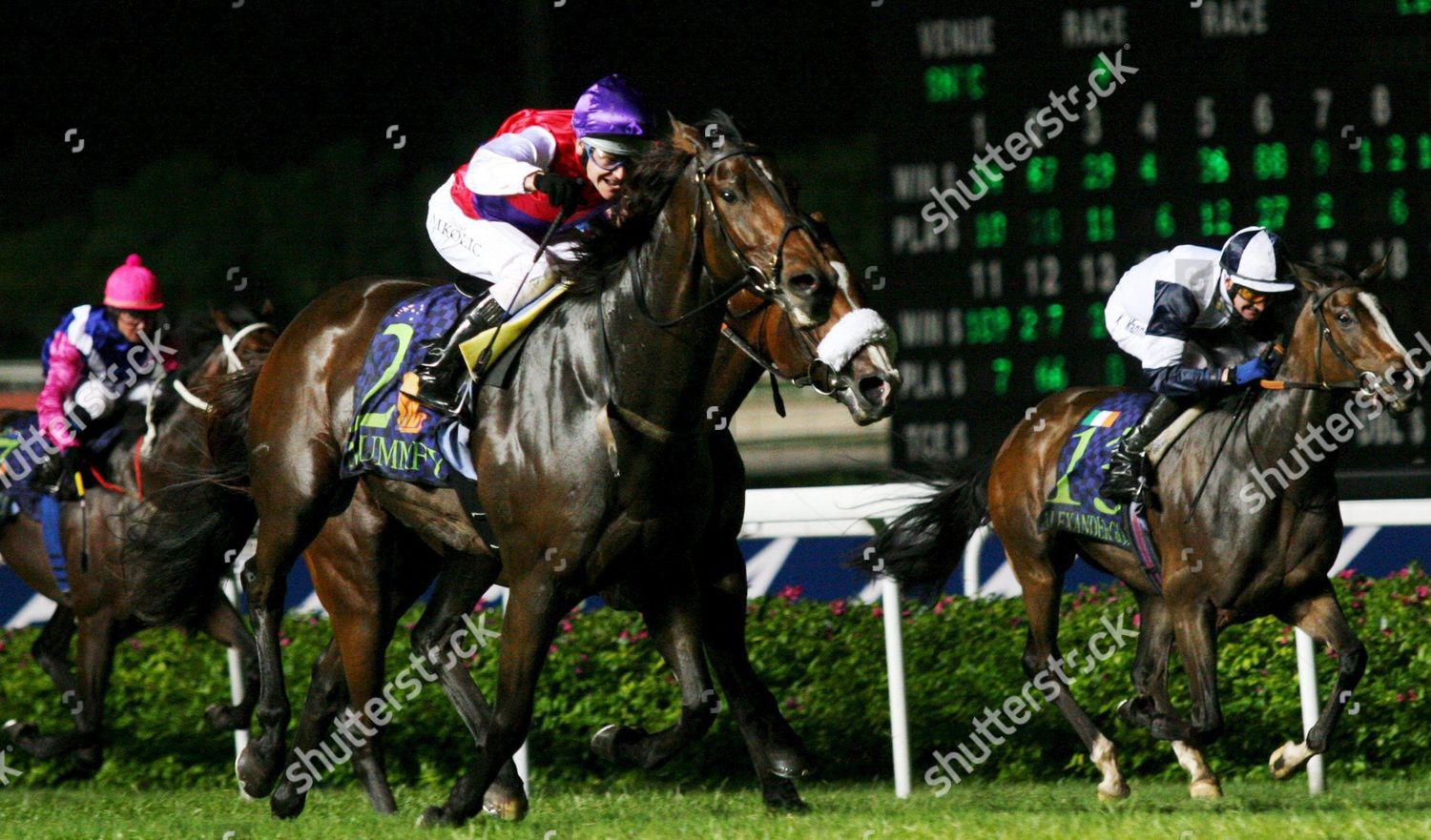 Australian Jockey Danny Nikolic Racing His Editorial Stock Photo ...