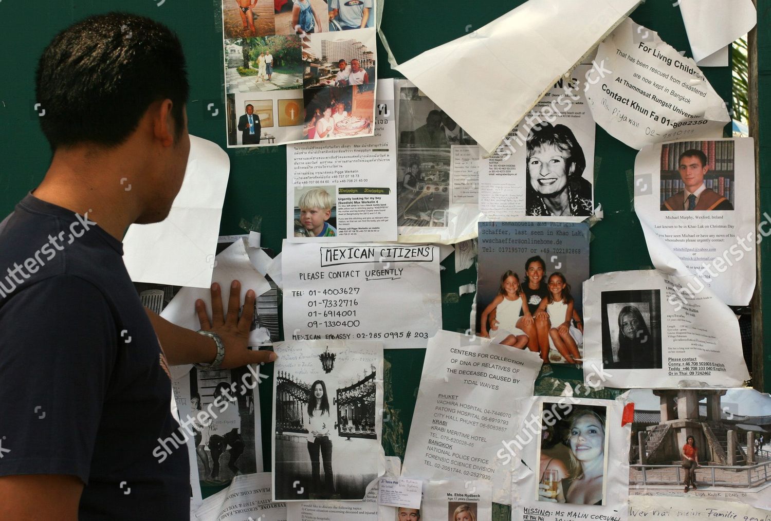 Thai Looks Missing Persons Board Phuket Editorial Stock Photo - Stock ...