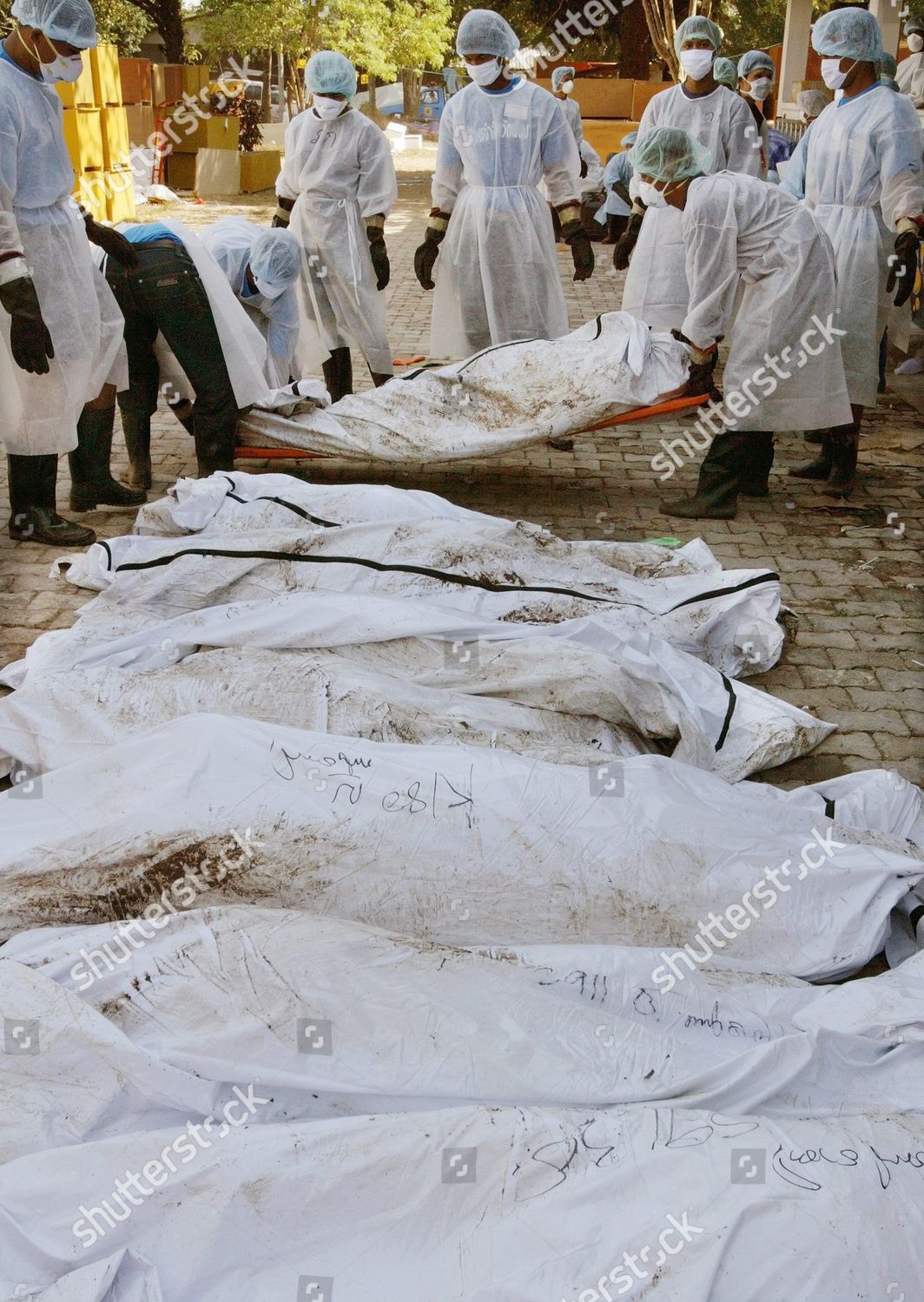 Bodies Laid Out Ready Transport Identification Editorial Stock Photo ...