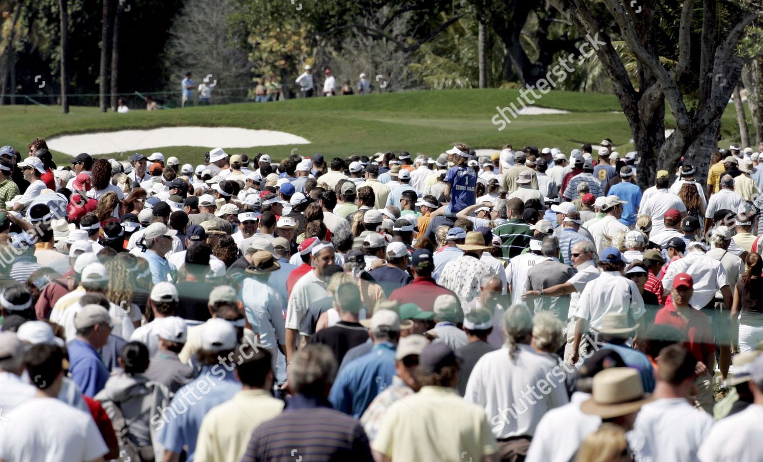 Golf Fans March Through Course Follow Editorial Stock Photo - Stock ...