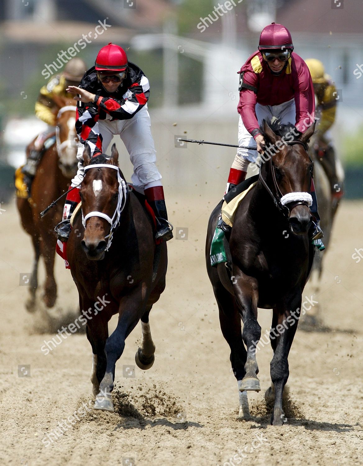 Jockey Jeremy Rose L Riding Roman Editorial Stock Photo - Stock Image ...