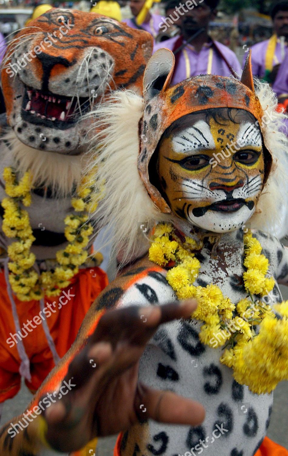 Young Folk Dancers Painted Like Tigers Editorial Stock Photo - Stock ...
