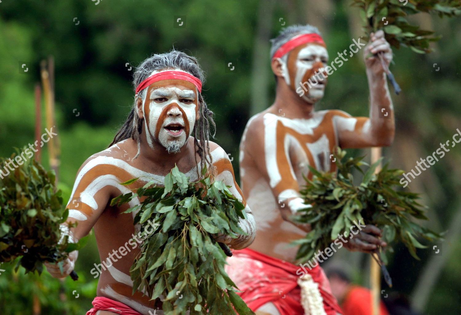 Woggan Ma Gule Traditional Aboriginal Ceremony Editorial Stock Photo ...