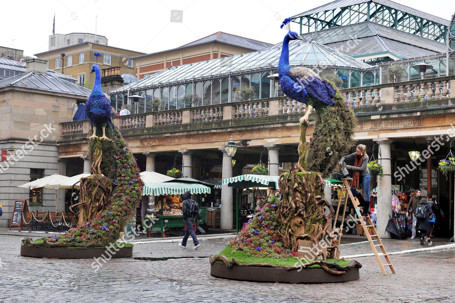 Launch Spring Renaissance Covent Garden Editorial Stock Photo - Stock ...