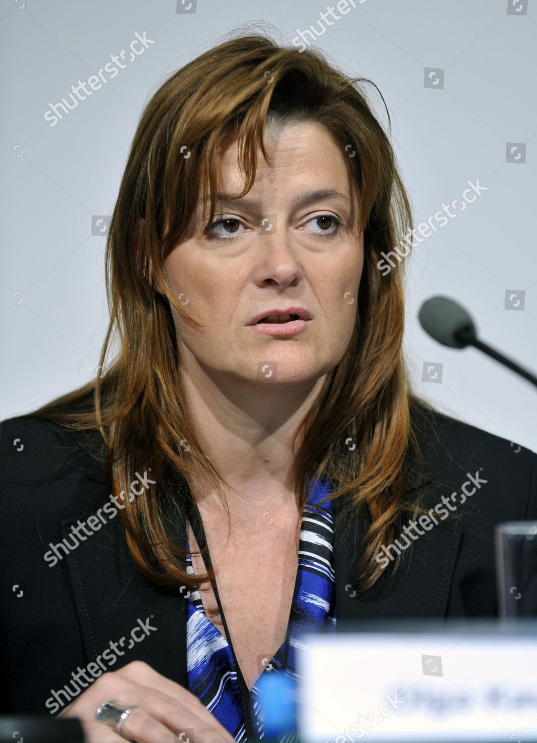 Olga Kavran Head Outreach Office Special Editorial Stock Photo - Stock ...