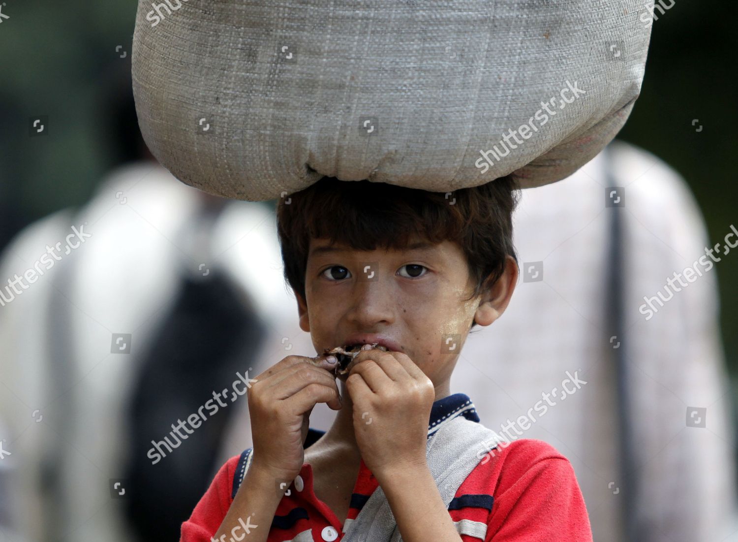 Boy Scrapes Scrap Eat He Carries Editorial Stock Photo - Stock Image ...