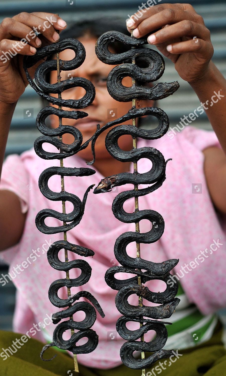 Manipuri Woman Sells Roasted Eel Fish Editorial Stock Photo - Stock ...