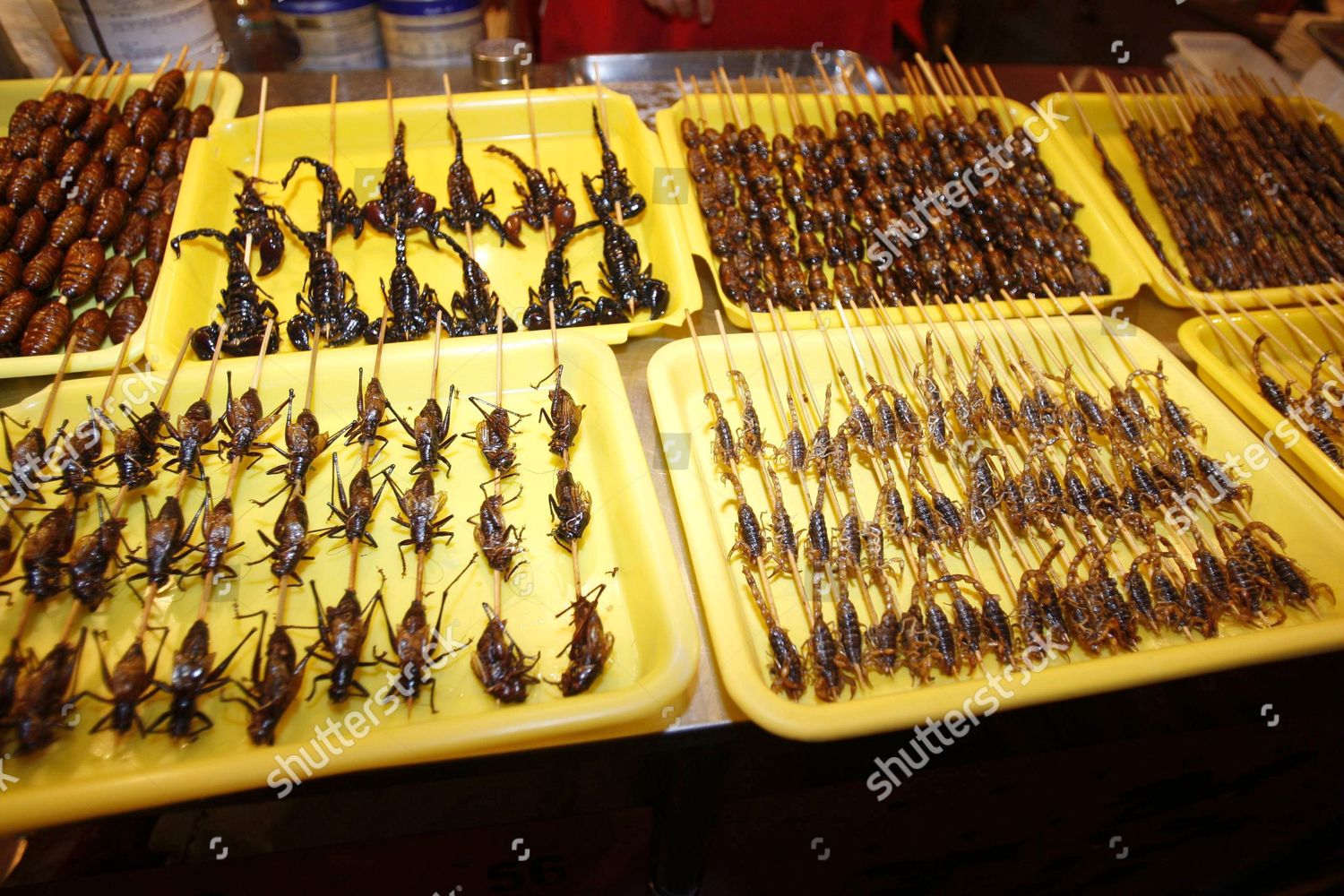 Fried Scorpions Cockroaches Night Food Market Editorial Stock Photo ...