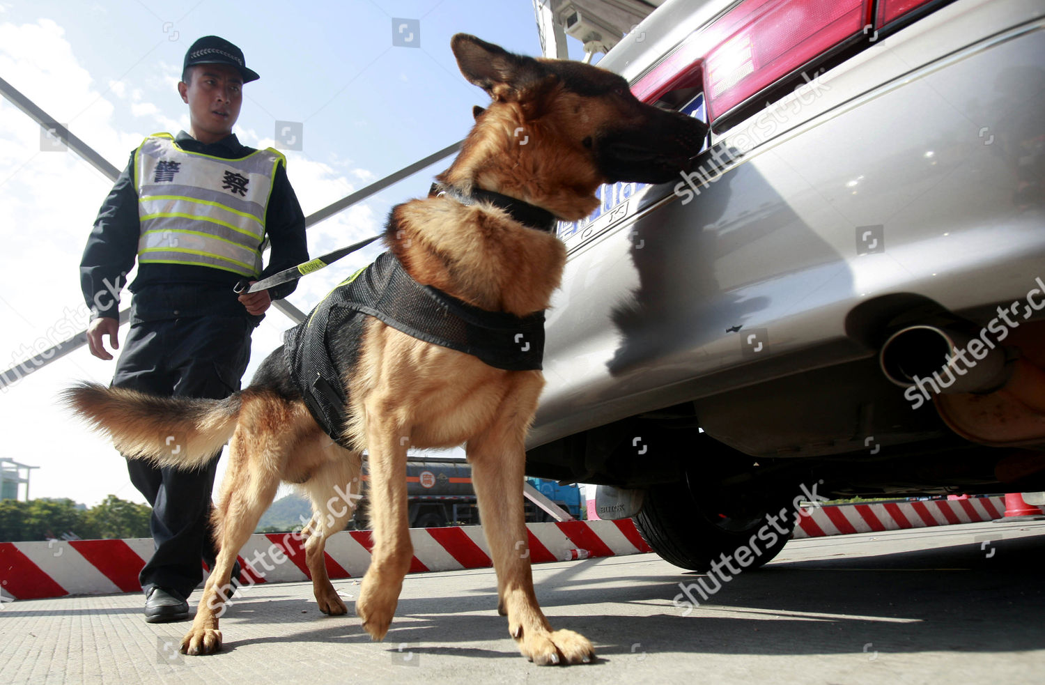 Policeman Holds Police Dog Inspect Vehicle Editorial Stock Photo ...