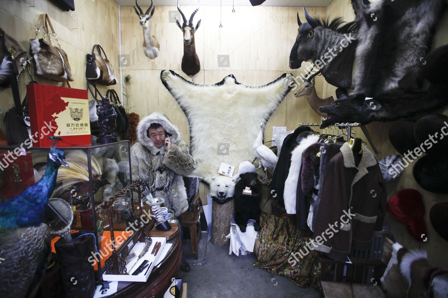 Shopkeeper Wearing Wolf Fur Coat Talks Editorial Stock Photo - Stock ...