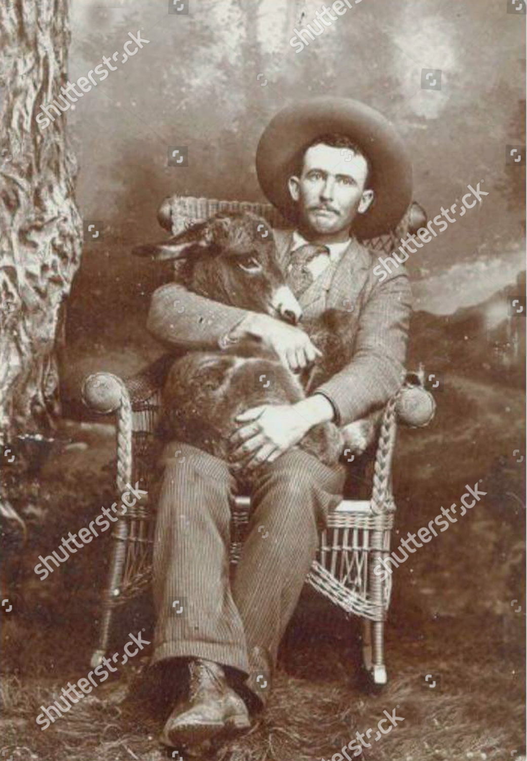 Man Relaxes Rocker Baby Burro Small Editorial Stock Photo - Stock Image ...