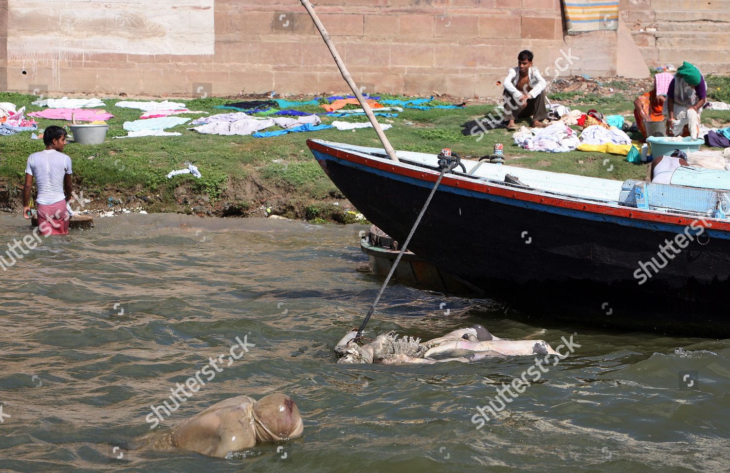 Decomposed Dead Bodies Float Ganga Water Editorial Stock Photo - Stock ...