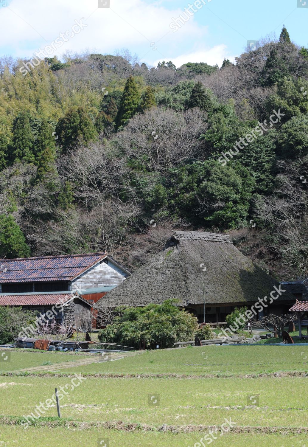 View Traditional Japanese Thatch Roofed House Editorial Stock Photo ...