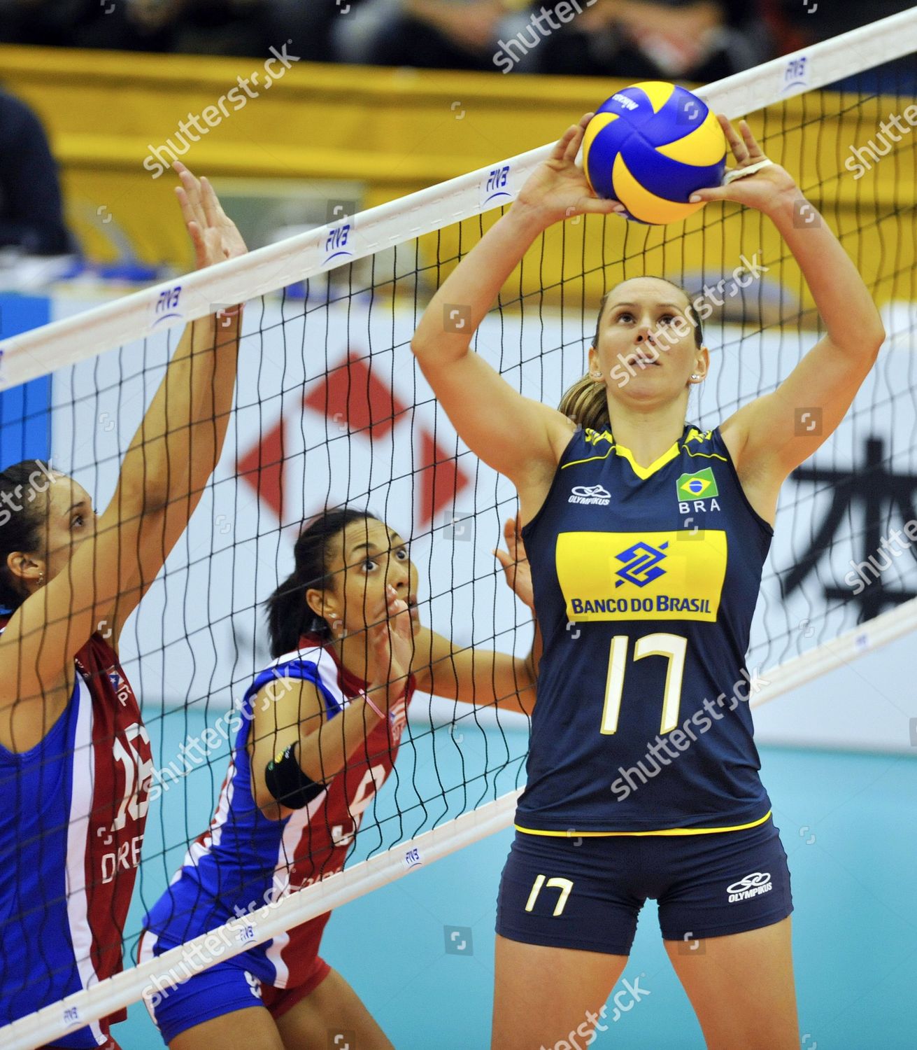 Brazils Setter Josefa Fabiola De Souza Editorial Stock Photo - Stock ...