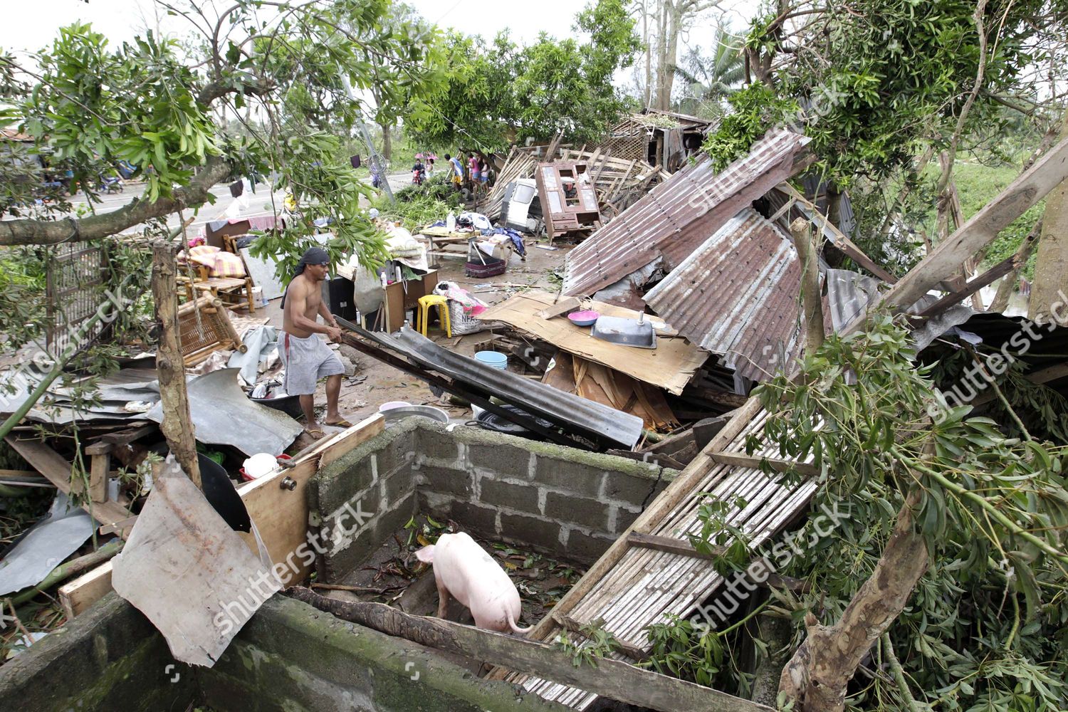 Ariel Marzan 36 Salvages Their Belongings Editorial Stock Photo - Stock ...