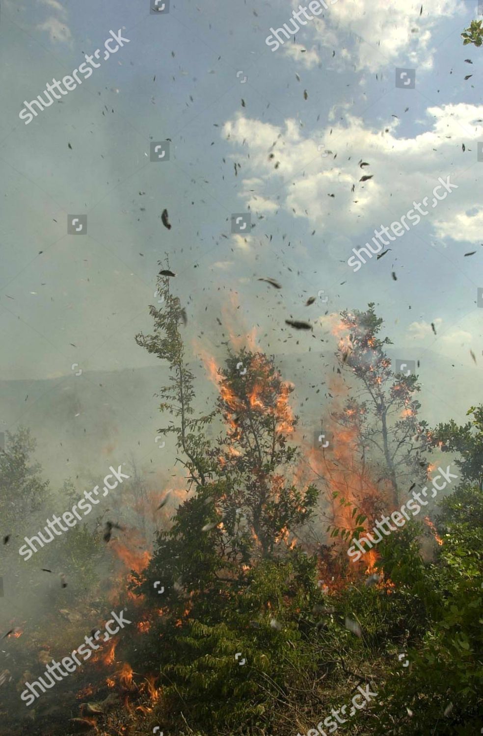 Pastrik Kosovo Yugoslavia Fire Rages Through Editorial Stock Photo ...