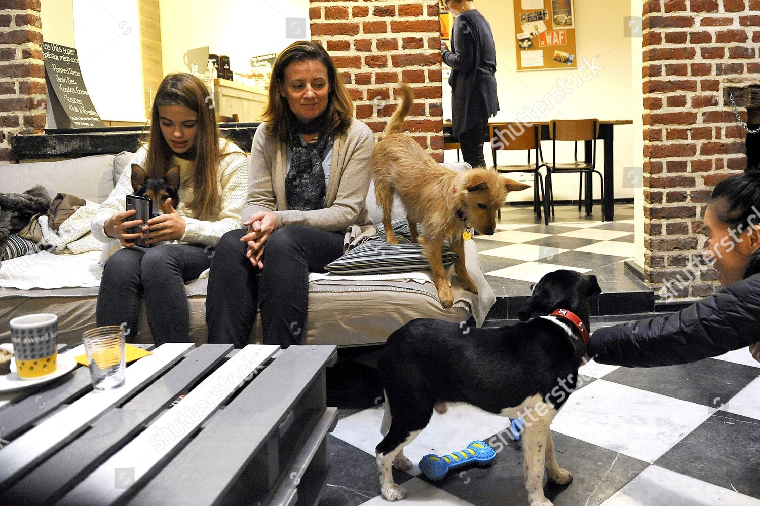 Le Waf Dog Cafe Editorial Stock Photo - Stock Image | Shutterstock