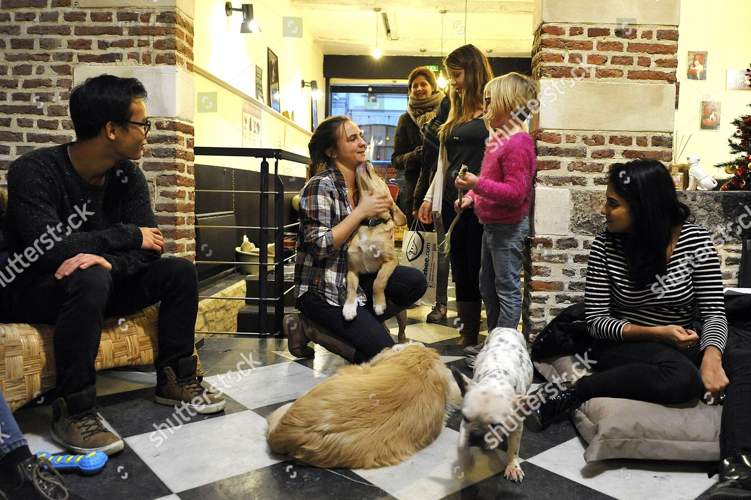 Le Waf Dog Cafe Editorial Stock Photo - Stock Image | Shutterstock