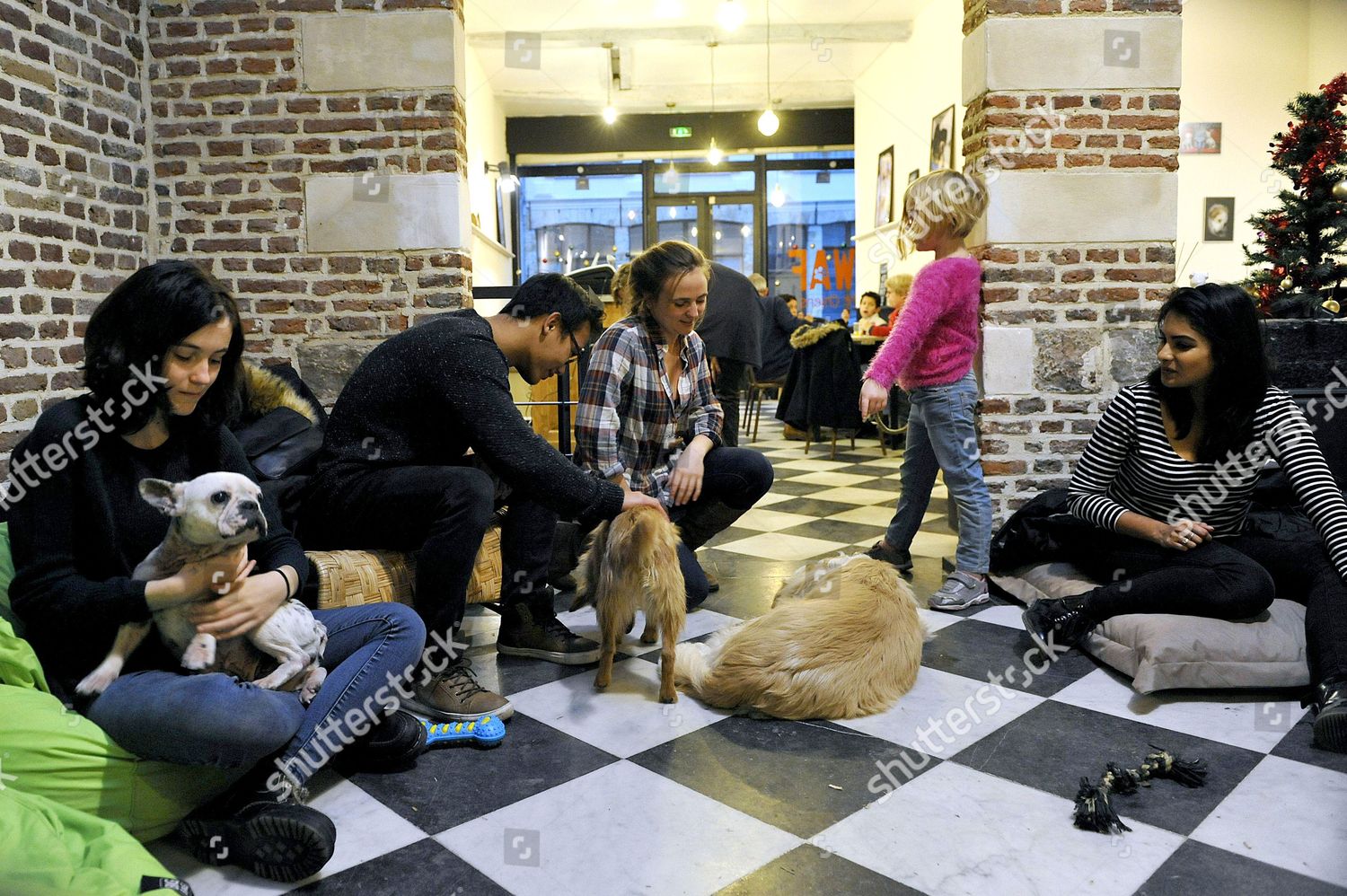 Le Waf Dog Cafe Editorial Stock Photo - Stock Image | Shutterstock