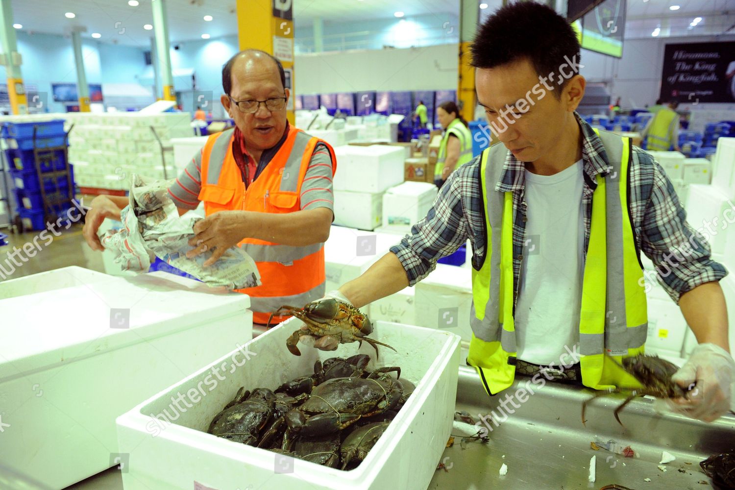 Workers Pack Crabs Sydney Fish Market Editorial Stock Photo - Stock ...