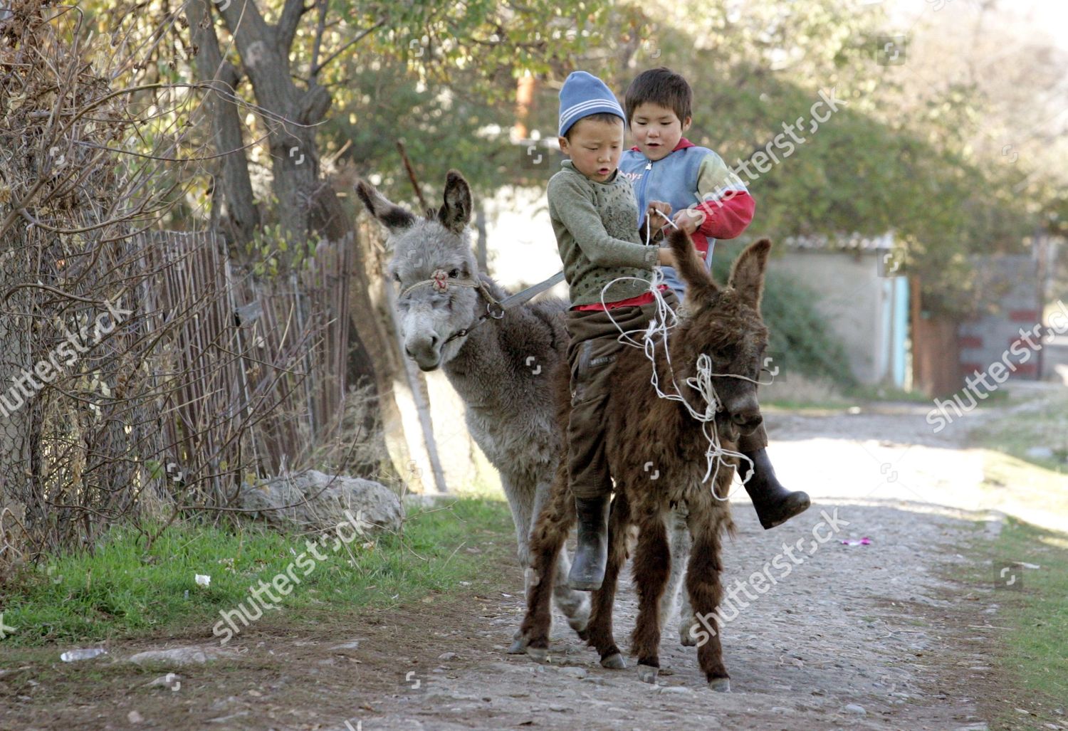 Kyrgyz Boys Ride On Donkeys They Editorial Stock Photo - Stock Image ...