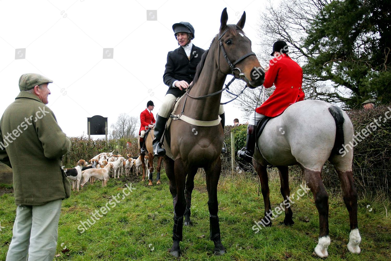 Robert Alner On Kingscliff Portman Hunt Editorial Stock Photo - Stock ...