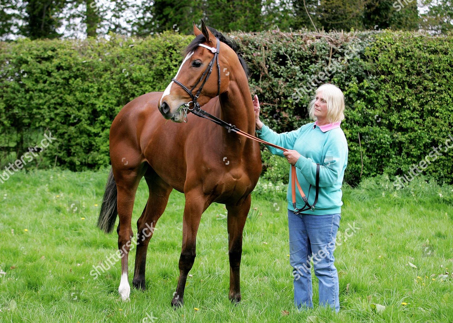 Trainer Pam Sly Speciosa Who Runs Editorial Stock Photo - Stock Image ...