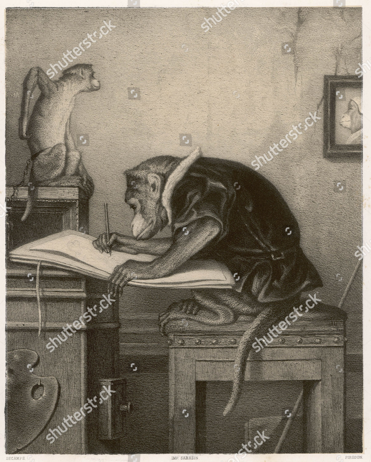 Extremely Talented Aspiring Monkey Artist Sketches Editorial Stock ...