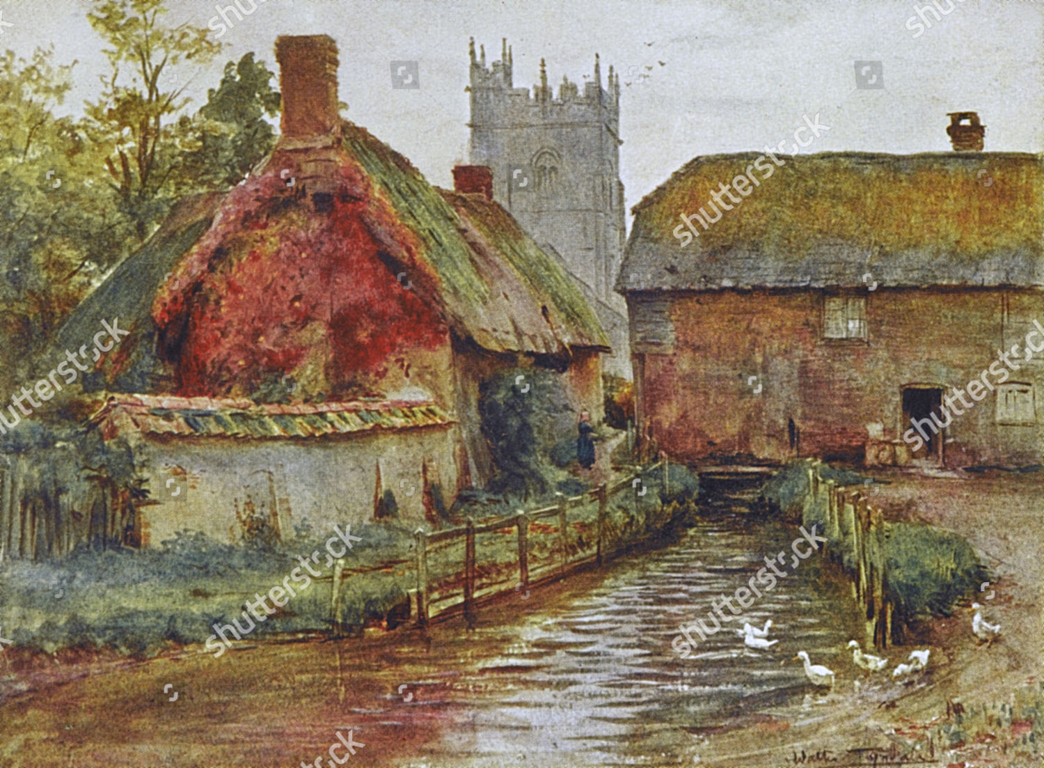 Wessex Scenery Affpuddle Dorset Model East Editorial Stock Photo ...
