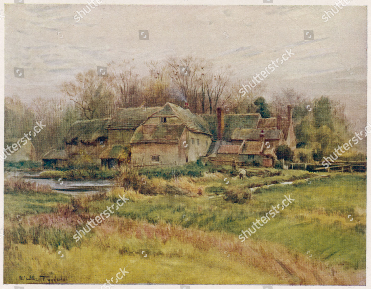 Wessex Scenery Bindon Abbey Mill Dorset Editorial Stock Photo - Stock ...