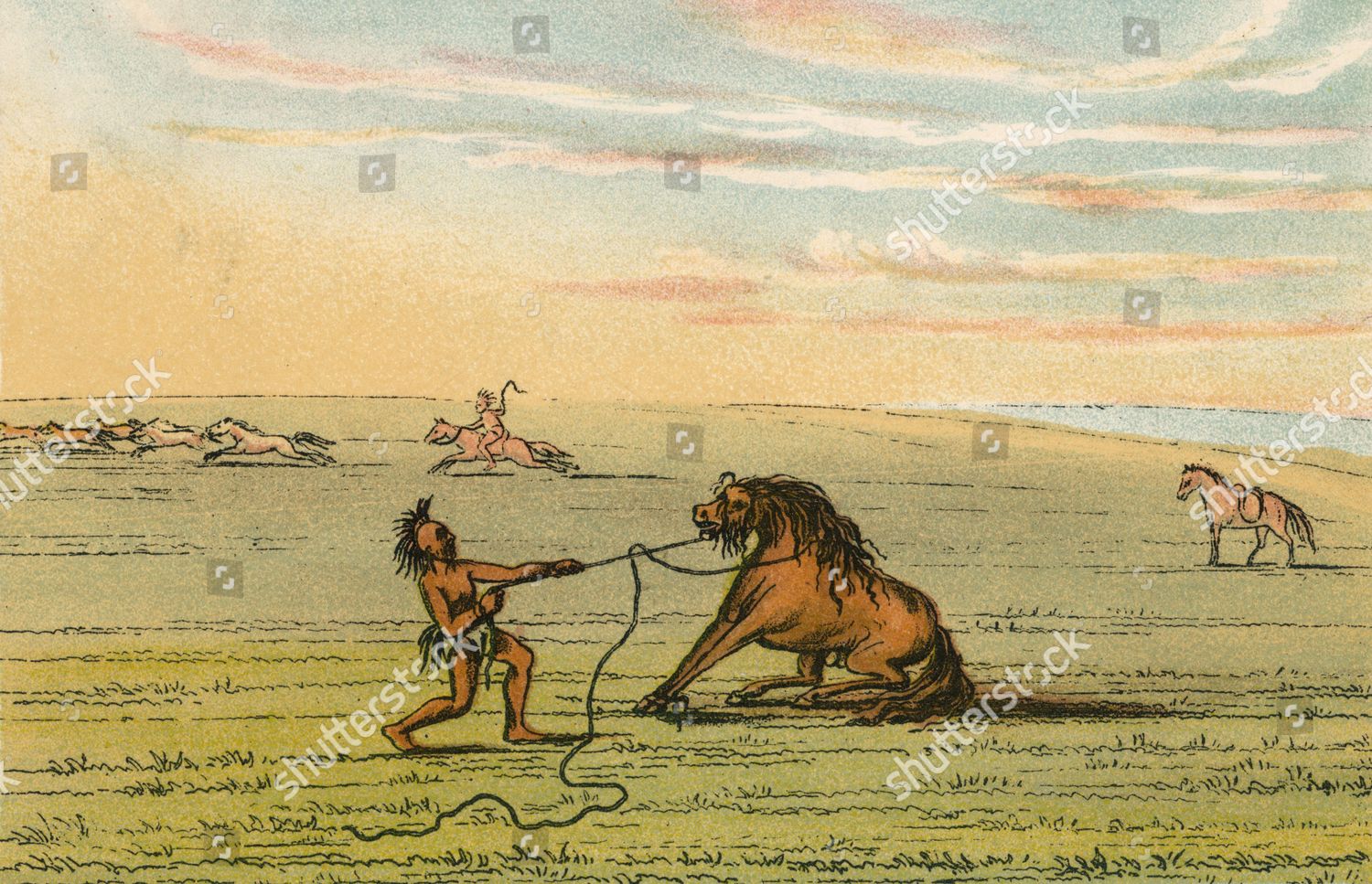 Comanche Catching Wild Horse Circa 1830 Editorial Stock Photo - Stock ...