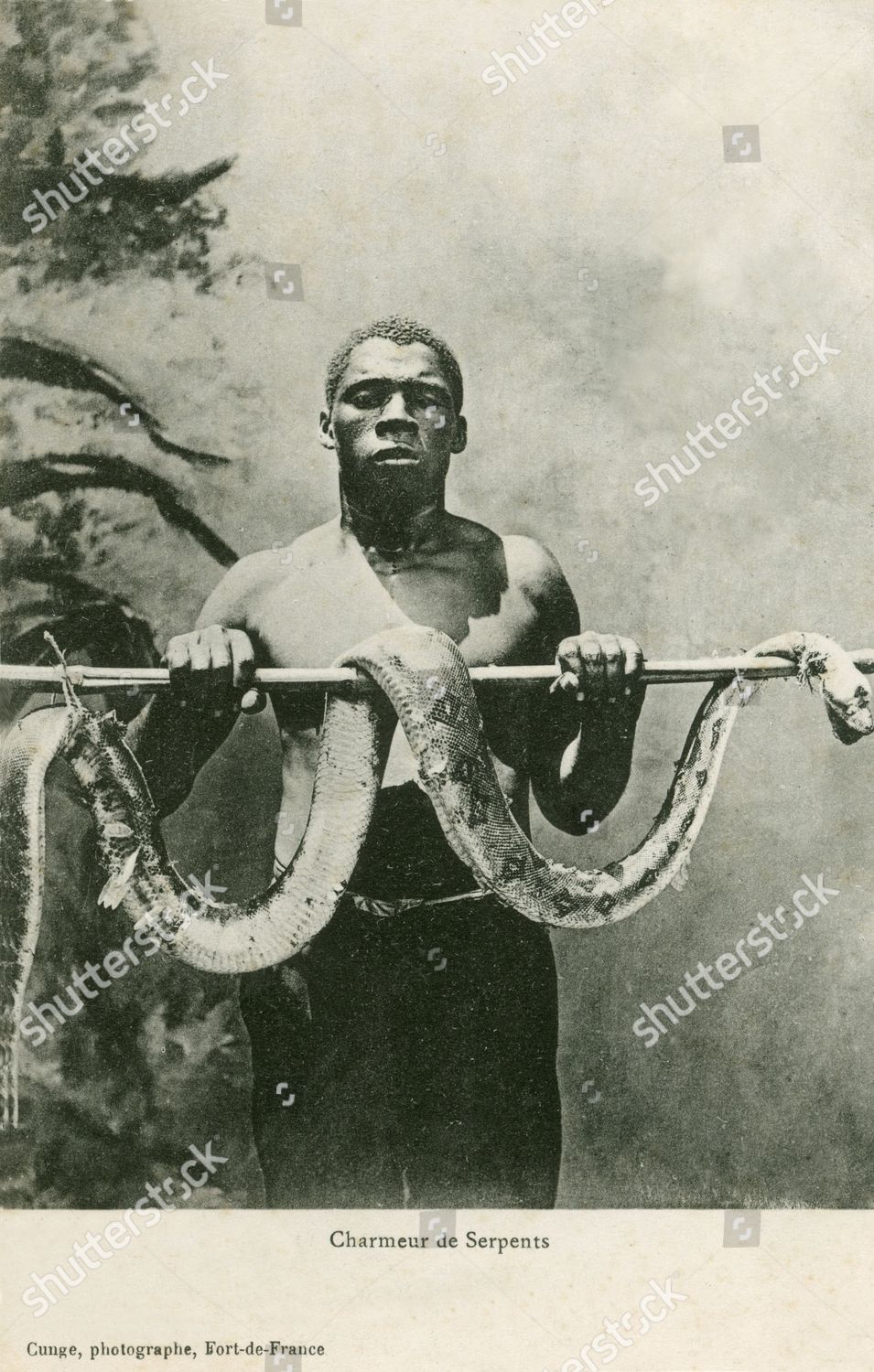 Snake Charmer Martinique Eastern Caribbean Sea Editorial Stock Photo ...