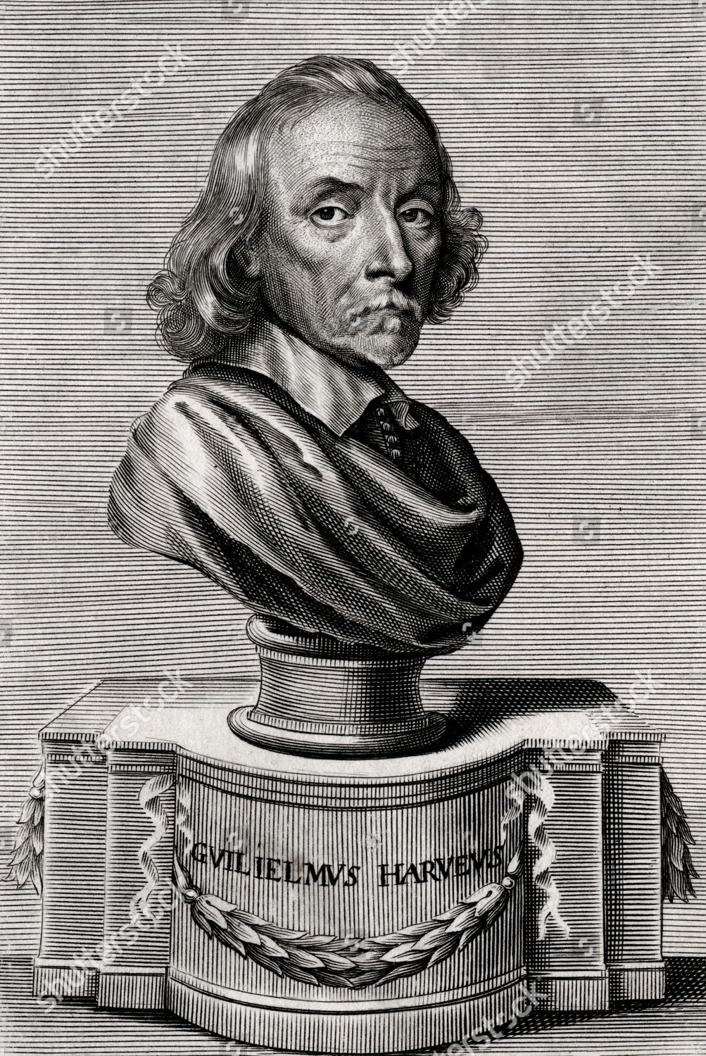 William Harvey Engraving Bust Physician Anatomist Editorial Stock Photo ...