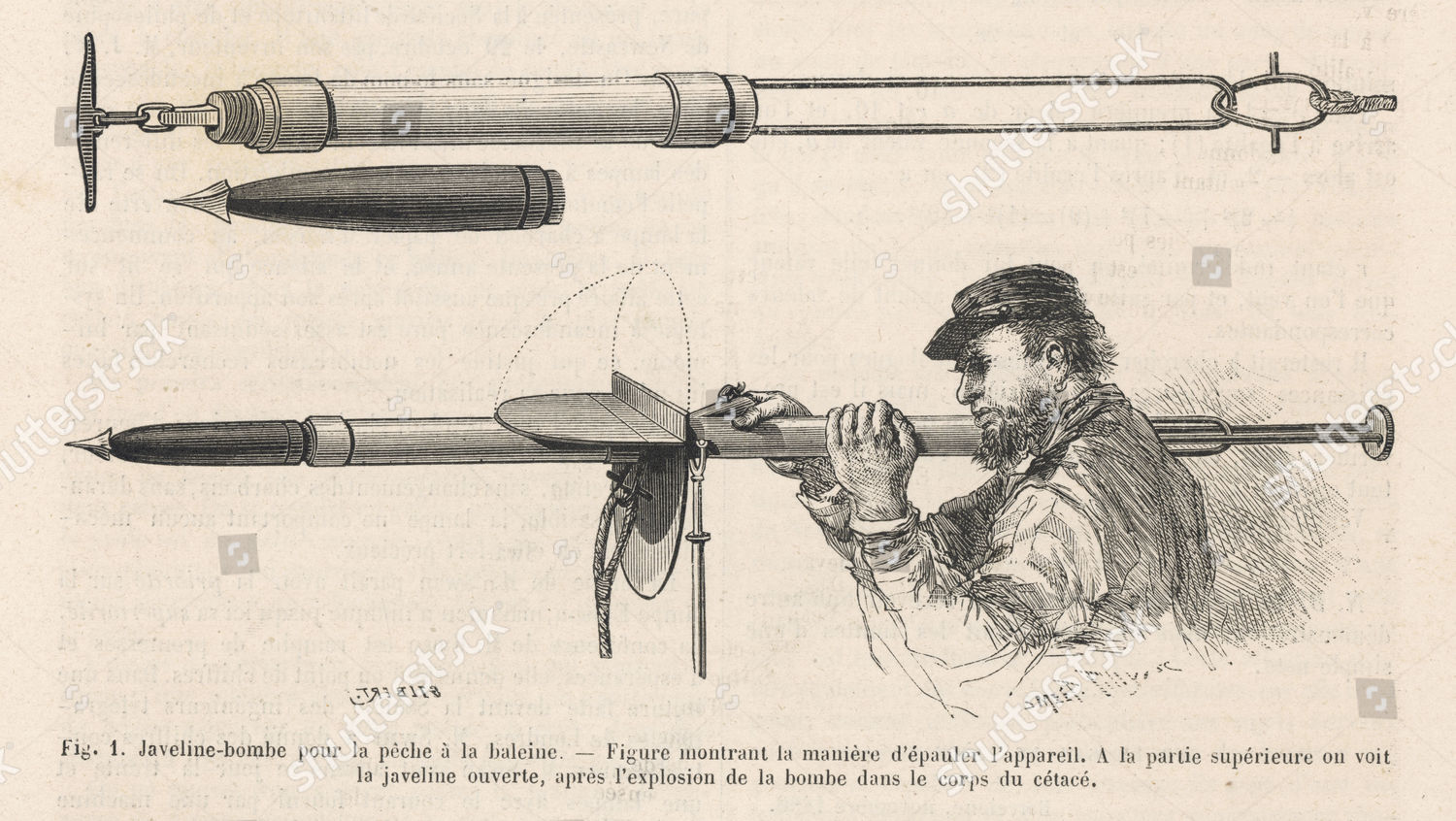 Javelin Bomb Used Whaling 1881 Editorial Stock Photo - Stock Image ...