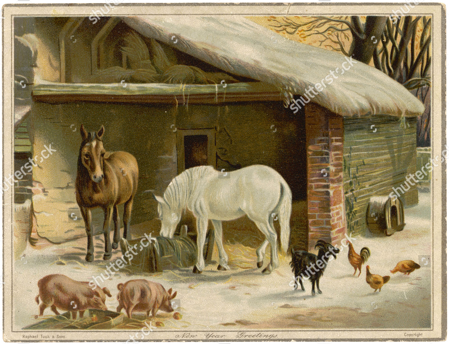 Animals Outside Barn Circa 1900 Editorial Stock Photo - Stock Image ...
