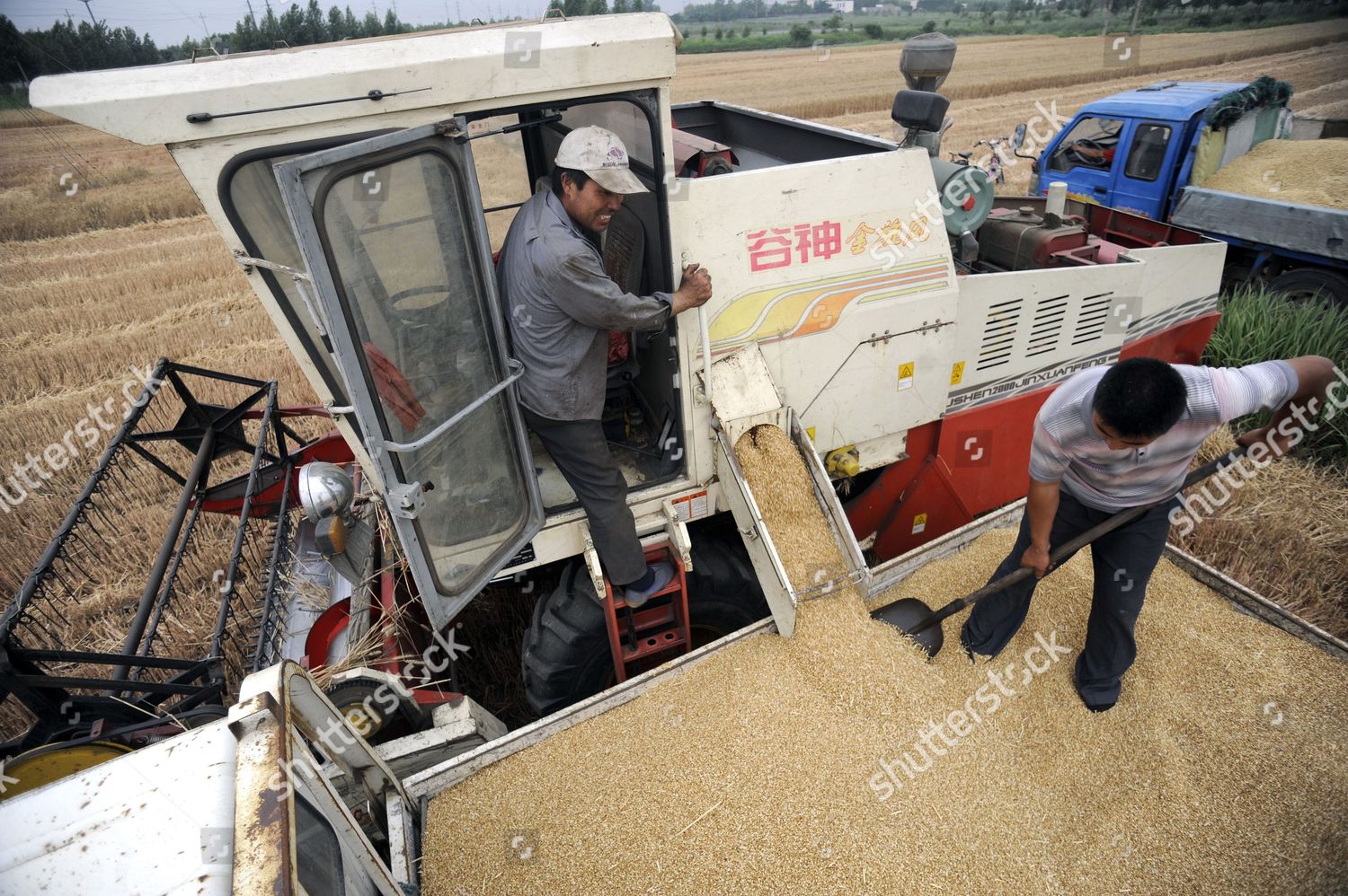 Reaping Machine Reaps Wheats Field Rural Editorial Stock Photo - Stock ...