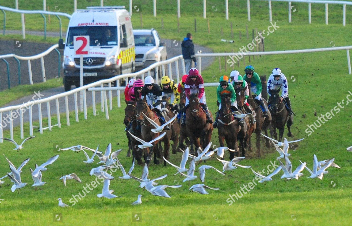 Limerick Ballyluskey Barry Oneill Black Colours Editorial Stock Photo ...