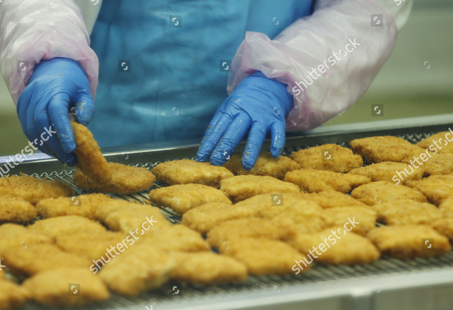Thai Factory Worker Process Cooked Chicken Editorial Stock Photo ...