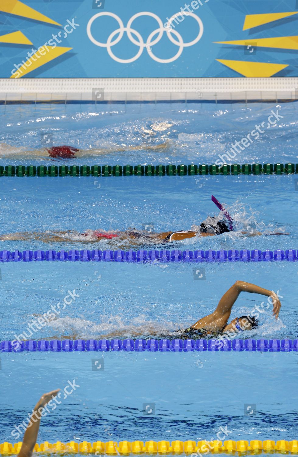 Swimmers Train Swimming Competition Pool Aquatics Editorial Stock Photo ...