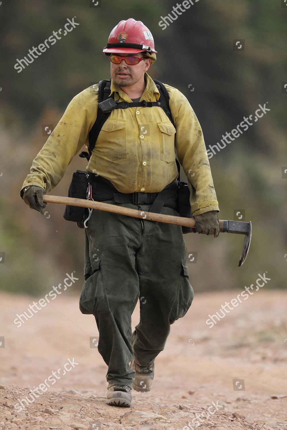 Tom Steven Firefighter Sequa Kings Canyon Editorial Stock Photo - Stock ...