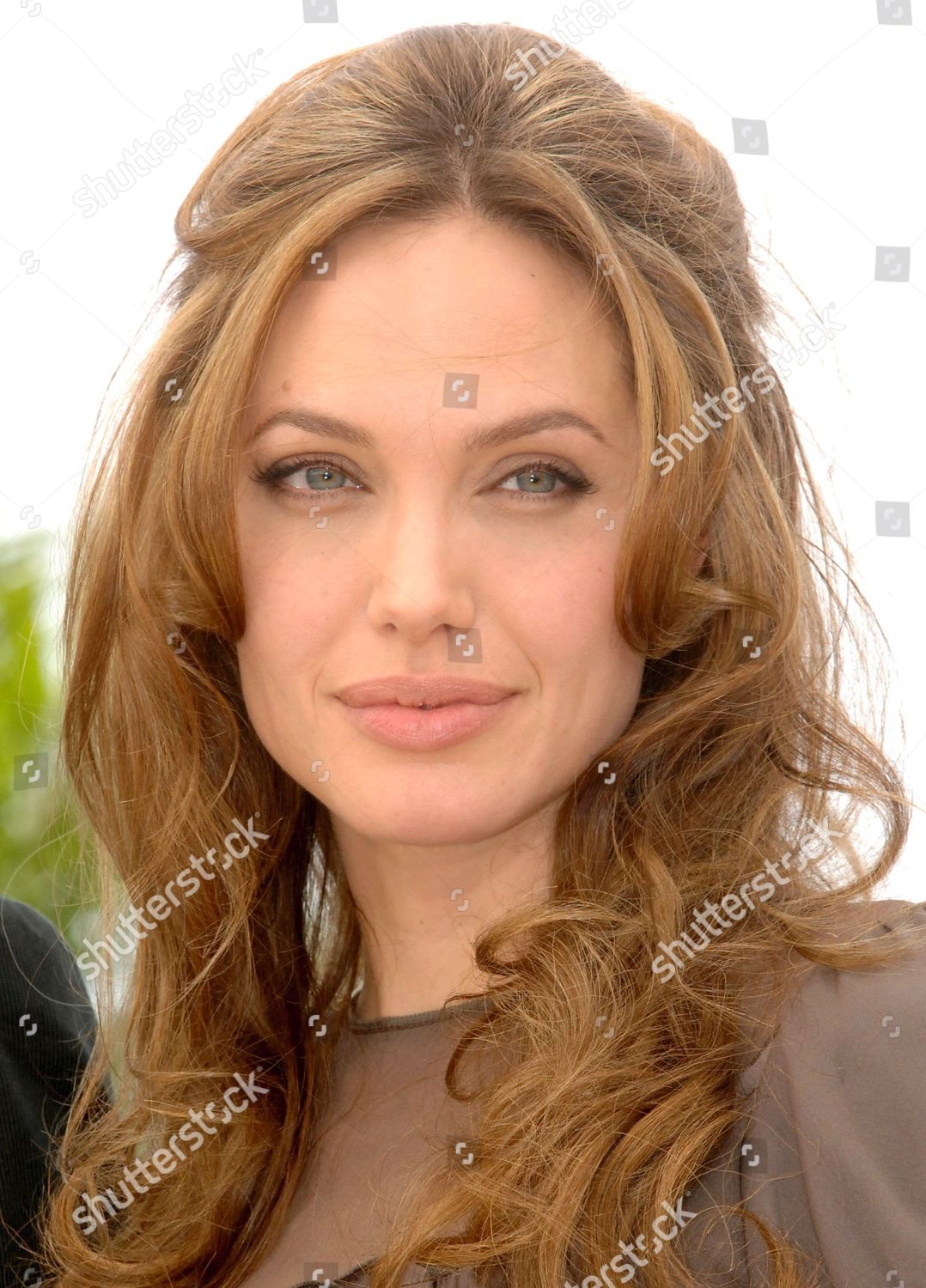 U S Actress Angelina Jolie Poses Editorial Stock Photo - Stock Image ...